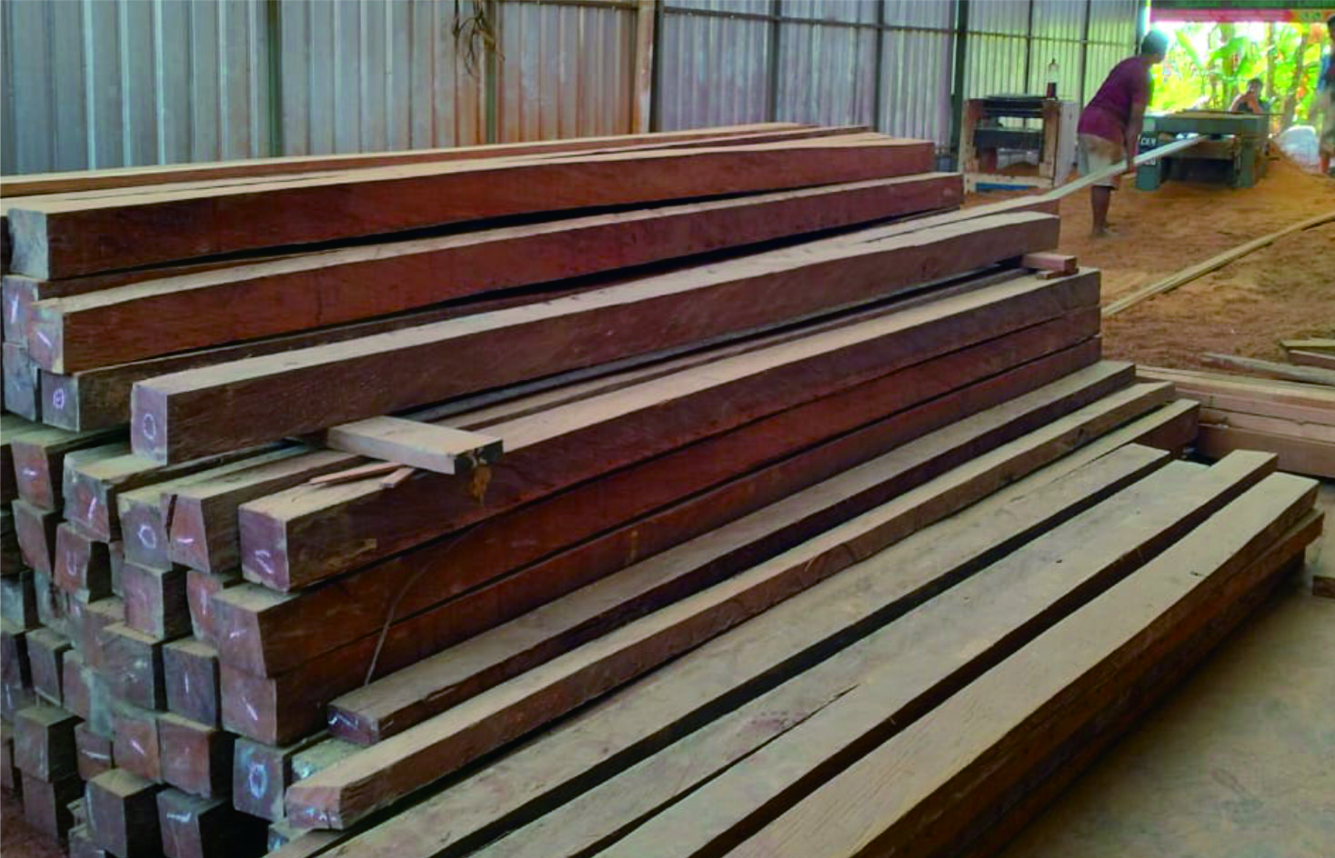 Tips Memilih Kayu Untuk Bangunan Yang Berkualitas Dengan Harga ...